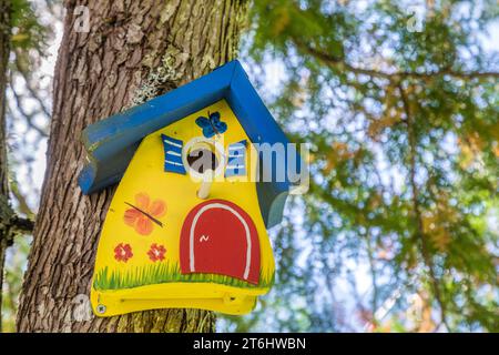 Colorful decorative bird box hanging from a tree Stock Photo - Alamy