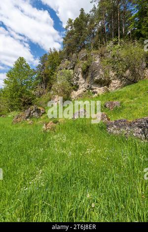 The Langerstein rock formation in Paradise Valley, Franconian ...
