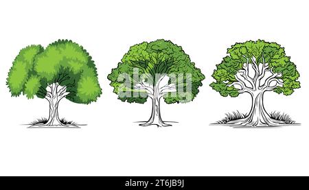 Vector trees outline on white background Stock Vector Image & Art - Alamy