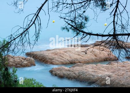 The coastal path on the Catalan Costa Brava Stock Photo - Alamy