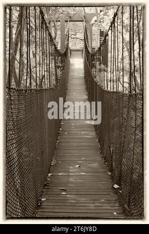 infrared image of the rickety rope bridge at the mangrove forest Stock ...