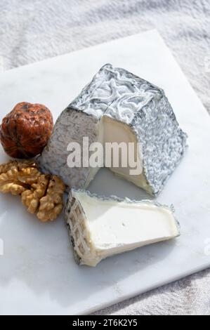 Cheese collection, French Valencay with black mold pyramid cheese made ...