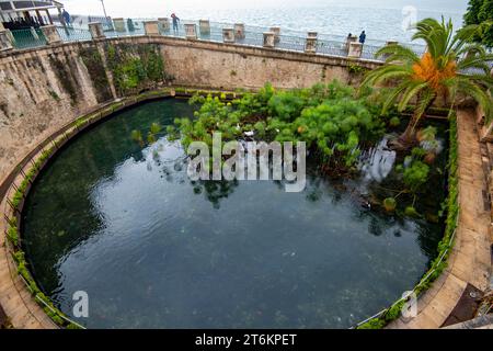 Greek Arethusa Fountain - Syracuse ( Siracusa) , Sicily Stock Photo - Alamy