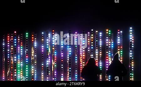 A light installation during a preview of Luminate Sandringham, the ...