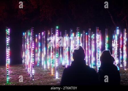 A light installation during a preview of Luminate Sandringham, the ...