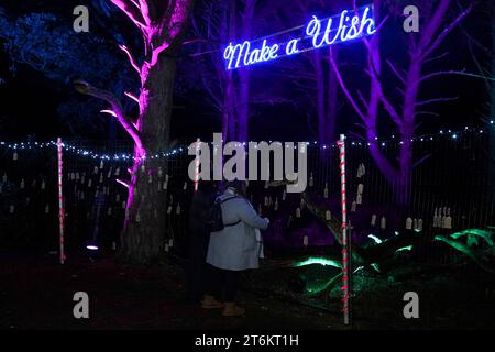 A light installation during a preview of Luminate Sandringham, the ...