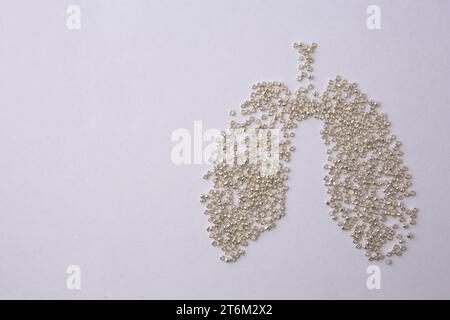 Human lungs made of beads on white background, flat lay Stock Photo - Alamy