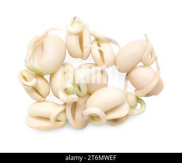 Many sprouted kidney beans isolated on white Stock Photo - Alamy
