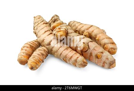 Fresh whole turmeric roots isolated on white Stock Photo - Alamy