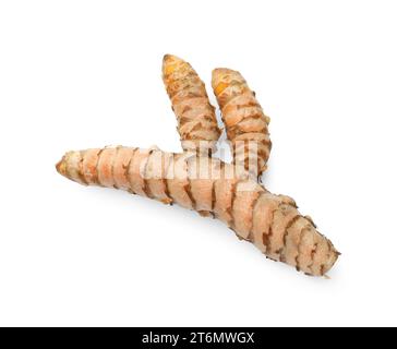 Fresh turmeric root isolated on white background Stock Photo - Alamy