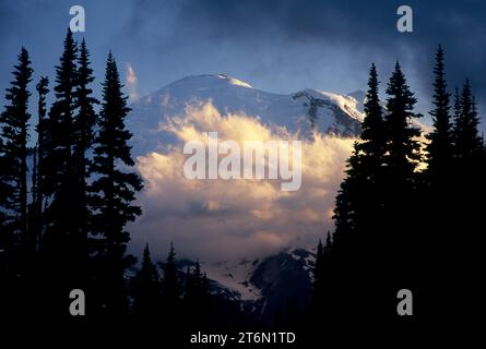 Mt Rainier from Sunrise Point, Mt Rainier National Park, Washington ...