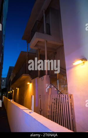 Miami, USA. 22nd Oct, 2023. Chainsaw Scarface balcony and stairs on ...