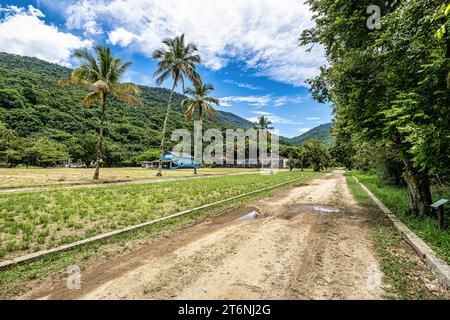 Trail to Dois Rios beach on Ilha Grande, Angra dos Reis, Rio de Janeiro, Brazil. Brazilian ...