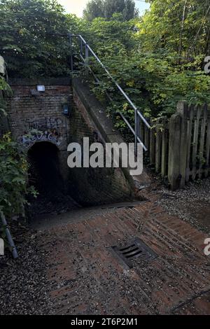 Staircase to a passageway under a railroad bordered by plants in an ...