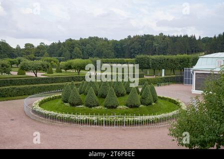 Triangle shaped topiary green trees of juniper in museum reserve of ...