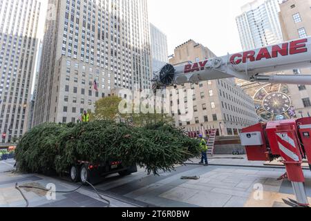 The Rockefeller Center Christmas tree arrived at Rockefeller Center in ...