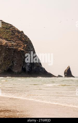 Haystack Rock, a designated bird sanctuary, rises out of the Pacific ...