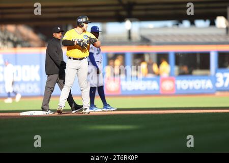 New York Mets Daniel Palka (81) bats during an MLB Spring Training game ...