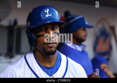 Los Tigres del Licey Robel Garcia (71) stands on deck during the eighth ...