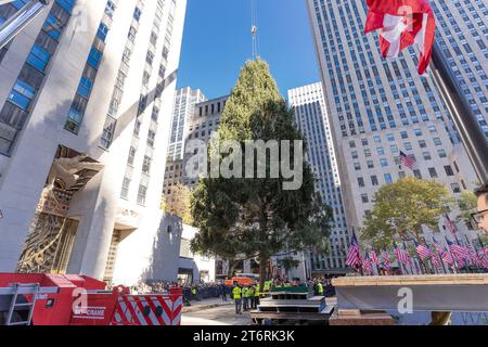 The Rockefeller Center Christmas tree arrived at Rockefeller Center in ...