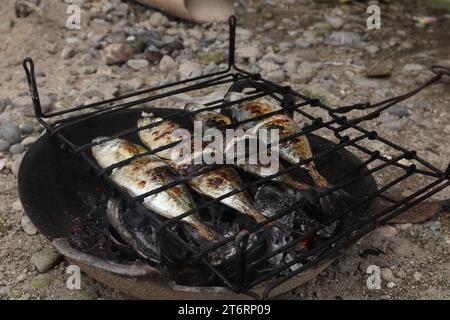 the process of making grilled fish that is burned over coconut shell ...