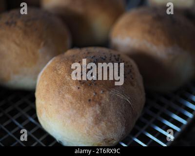 Fresh Sri Lankan Fish and Vegetable filled bun with Poppy seeds on top ...