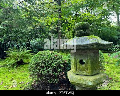 Stone lantern, bright moss and different plants in Japanese garden ...