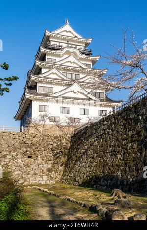 Fukuyama castle, Japan. Ishigaki stone walls, cherry blossom trees, the ...