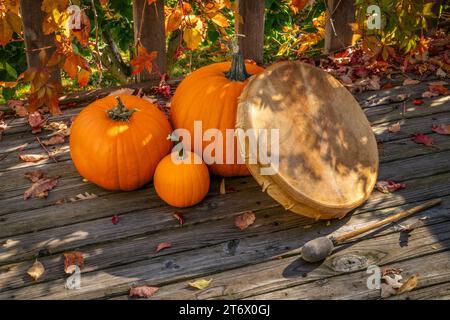native American style drum with pumpkins on a backyard lawn covered by ...