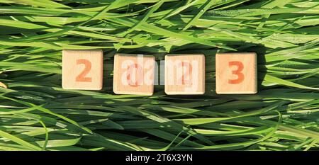 Inscription 2023. Toy square cubes and numbers on the grass surface ...