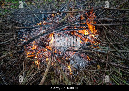 Fire made of twigs from garden cleaning Stock Photo - Alamy