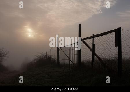 Cityscapes Captured in Backlight Stock Photo - Alamy