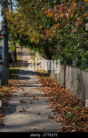 Different angles of footpaths Stock Photo - Alamy