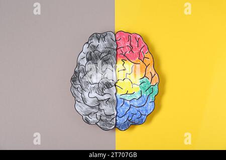 Logic and creativity. Paper brain with one colorful hemisphere and ...