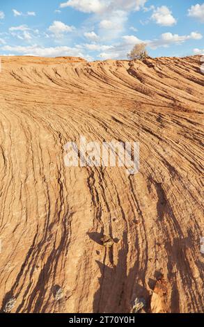 Famous rock formation The wave ,Arizona,USA Stock Photo - Alamy