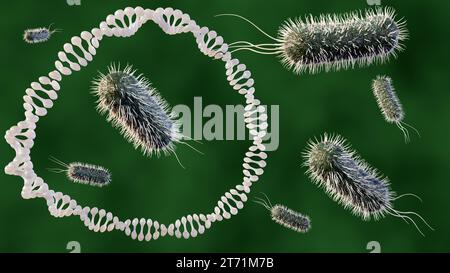 3D rendering of plasmid circular DNA and Escherichia coli bacteria ...