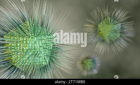 Mimivirus is a genus of giant viruses, in the family Mimiviridae. A ...