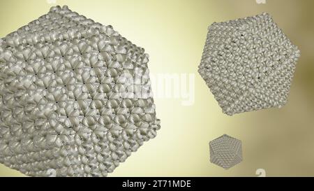 Sputnik utilizes the helper virus's machinery for reproduction and ...