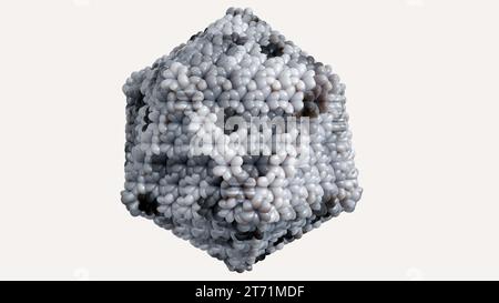 Sputnik utilizes the helper virus's machinery for reproduction and ...