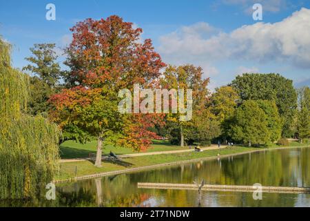 Blümelteich, Volkspark Mariendorf, Tempelhof-Schöneberg, Berlin ...