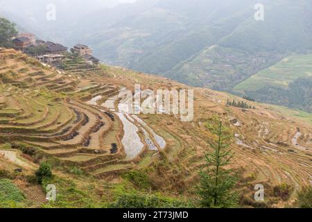 The fabulous rice terraces whose history dates back to the Yuan Dynasty ...