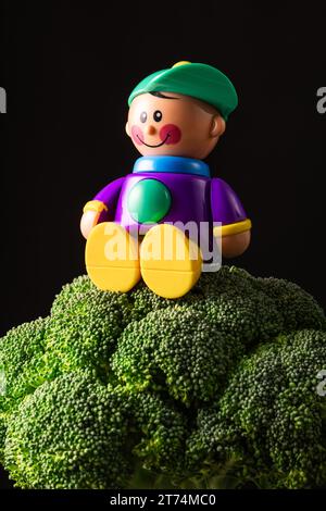 Fresh broccoli florets and plastic toy boy on black rustic background ...