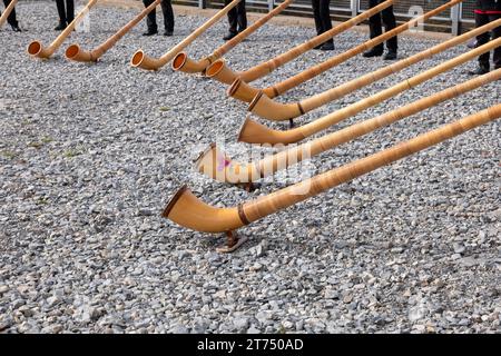 Group of Musicians Playing on Horns of the Alps with Mountainscape and ...
