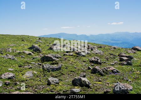 Green pasture in mountains during summer as nature background Stock ...