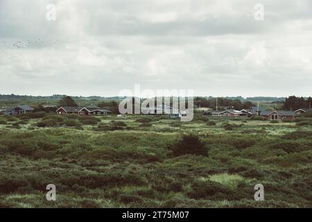Dune landscape at the North Sea, Rømø, Denmark Stock Photo - Alamy
