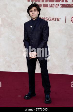 HOLLYWOOD, CA - NOVEMBER 13: Aamer Husain at the LA Premiere of The ...