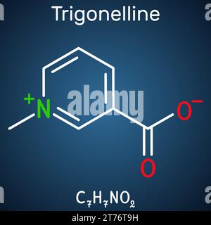 Trigonelline plant alkaloid molecule. Structural chemical formula ...