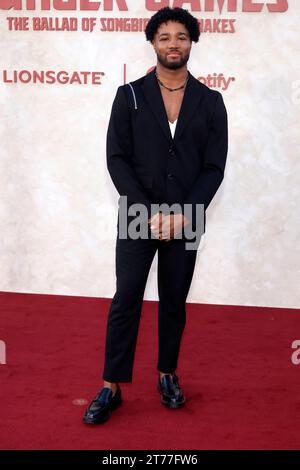 HOLLYWOOD, CA - NOVEMBER 13: Nick Benson at the LA Premiere of The ...