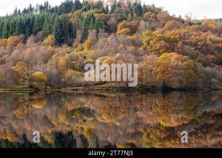 Beautiful Autumn colours on Loch Ard in the Trossachs National Park ...