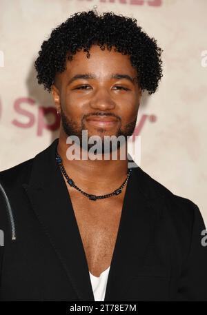 HOLLYWOOD, CALIFORNIA - NOVEMBER 13: Nick Benson attends The Ballad of ...